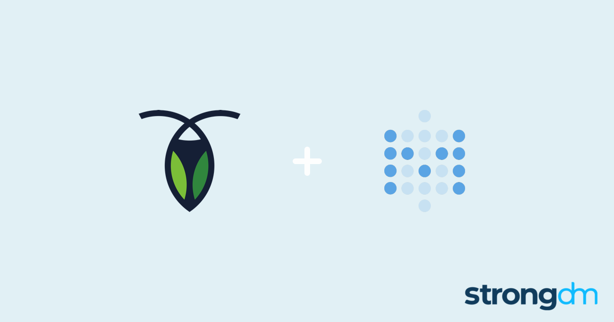 Cockroachdb Integrating Into A Metabase Workflow Strongdm